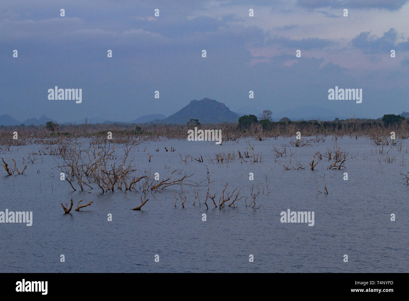 Weheragala reservoir hi-res stock photography and images - Alamy