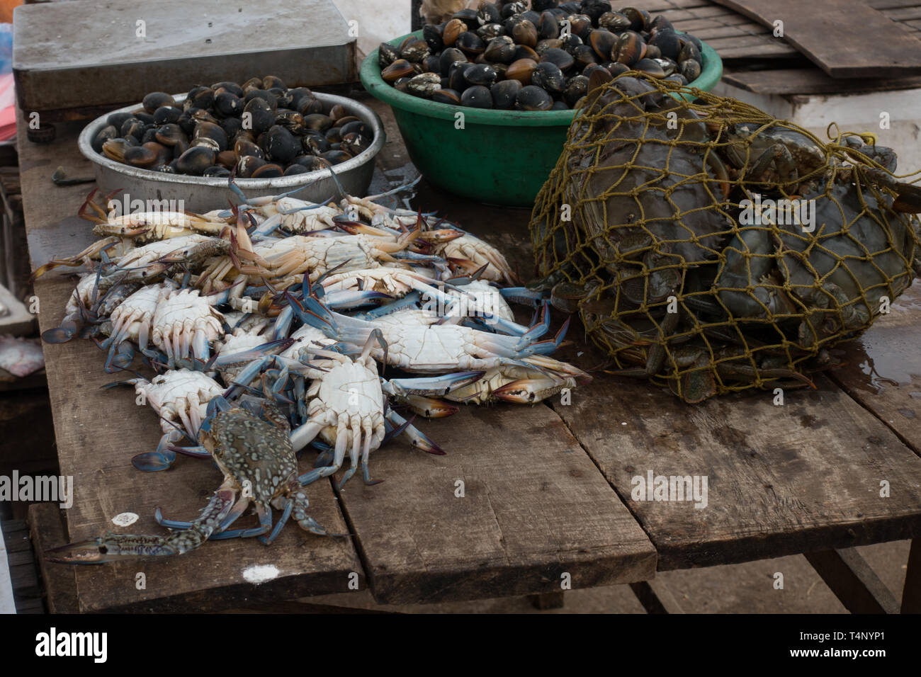 Market colombo hi-res stock photography and images - Alamy
