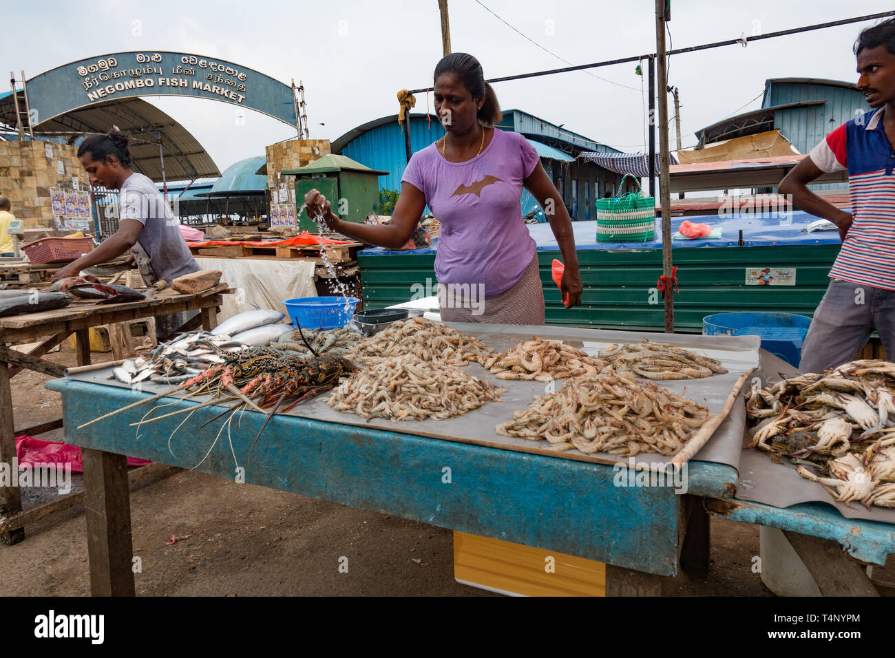 Fish for sale at fish market. Colombo. Sri Lanka Stock Photo - Alamy