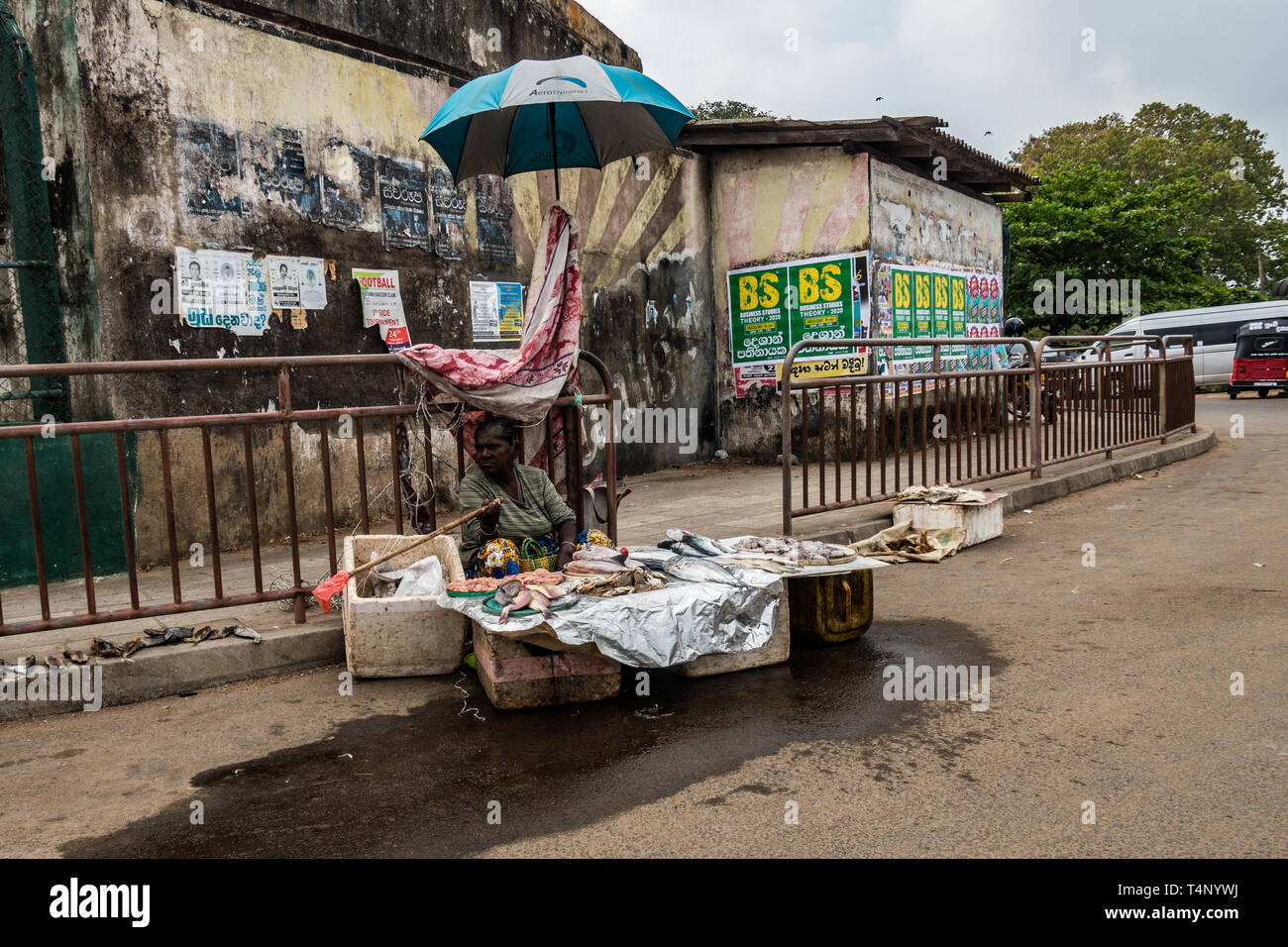 Fish for sale at fish market. Colombo. Sri Lanka Stock Photo - Alamy