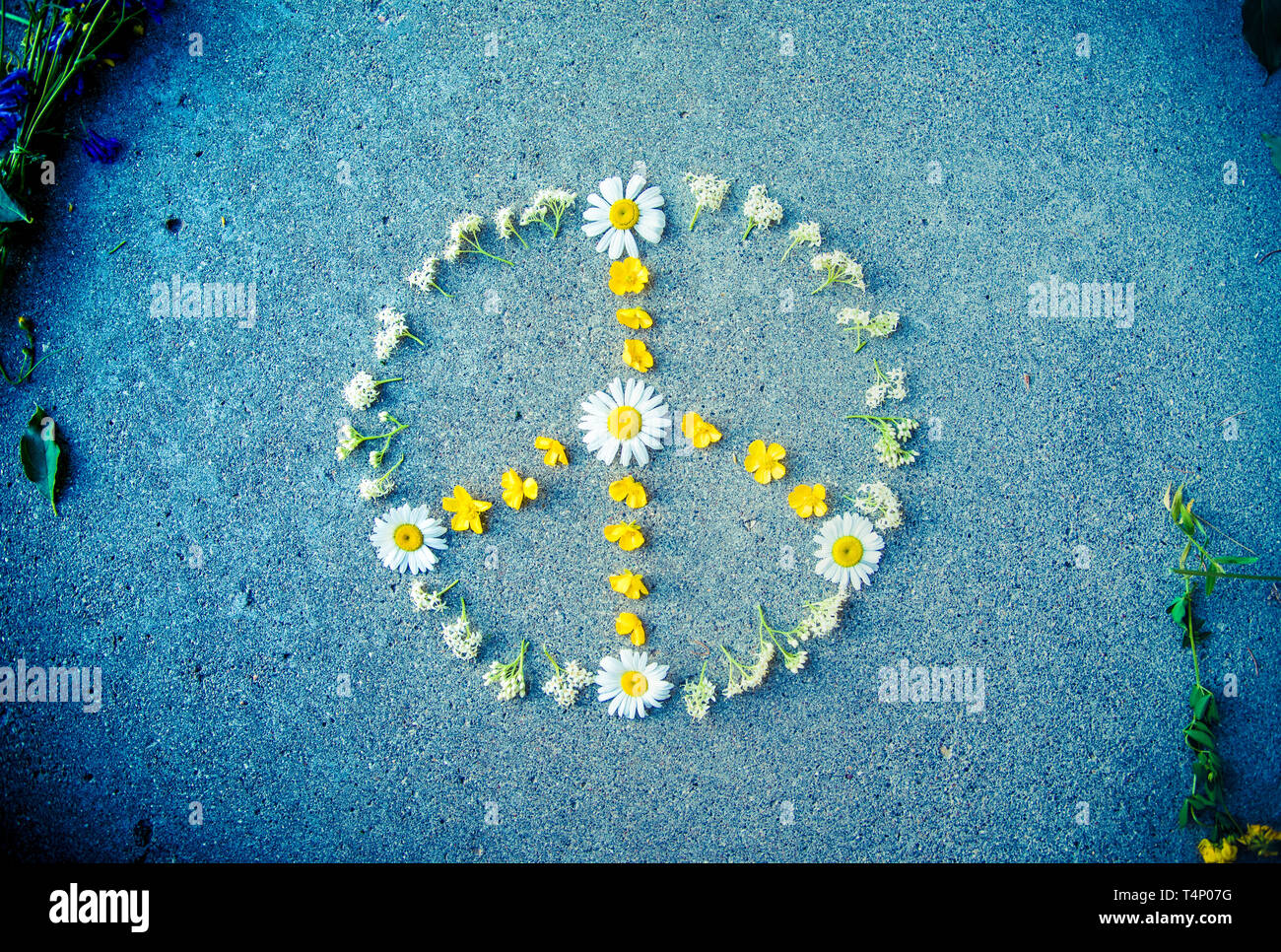 Cement Flowers High Resolution Stock Photography and Images - Alamy
