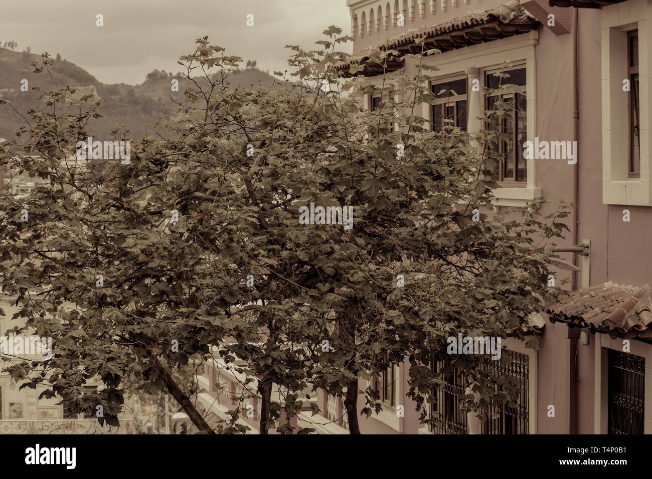 Ecuador cuenca history hi-res stock photography and images - Alamy