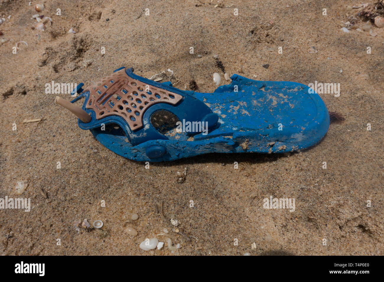 Washed up shoe hi-res stock photography and images - Alamy