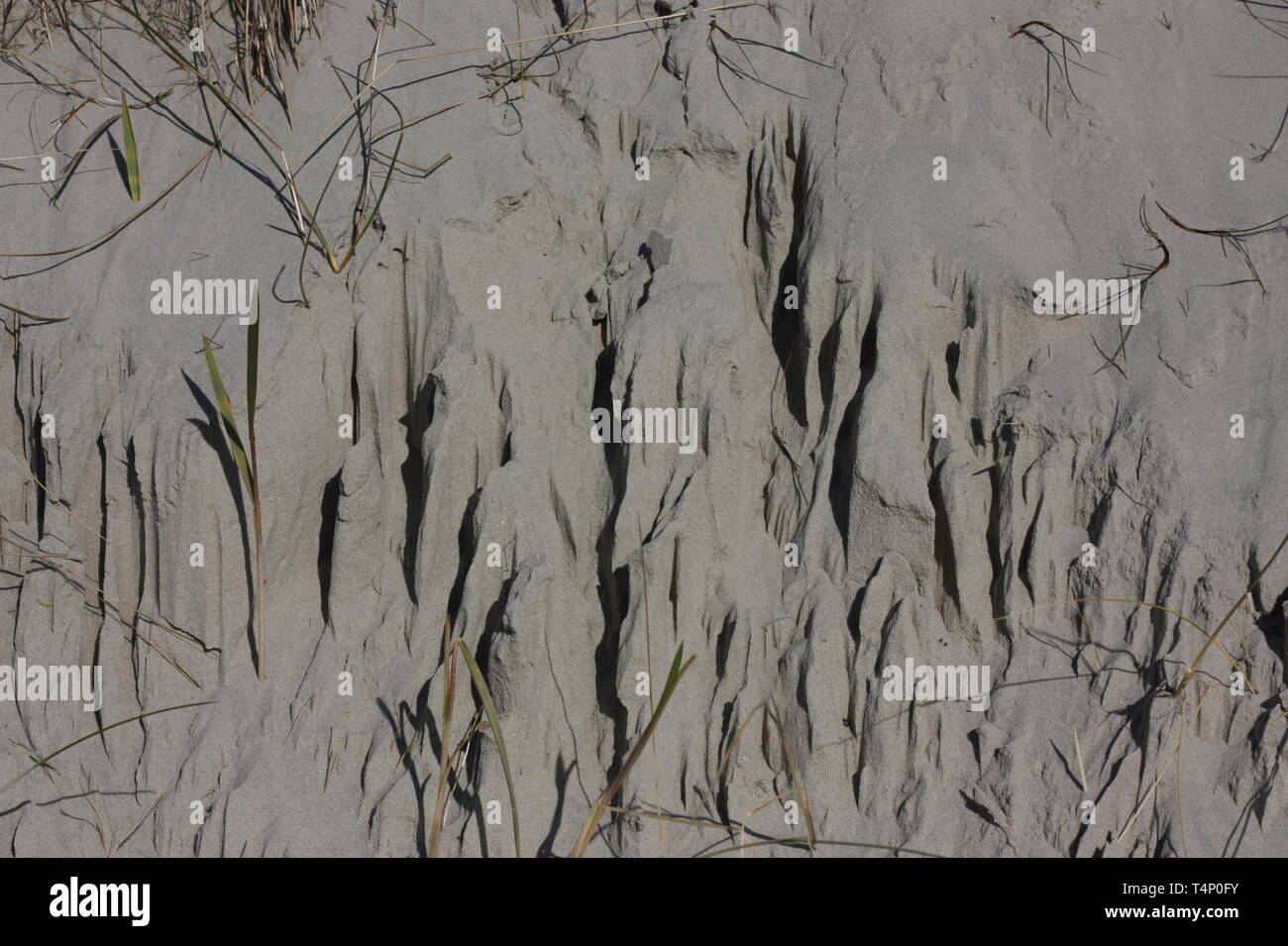 Sand structure hi-res stock photography and images - Alamy