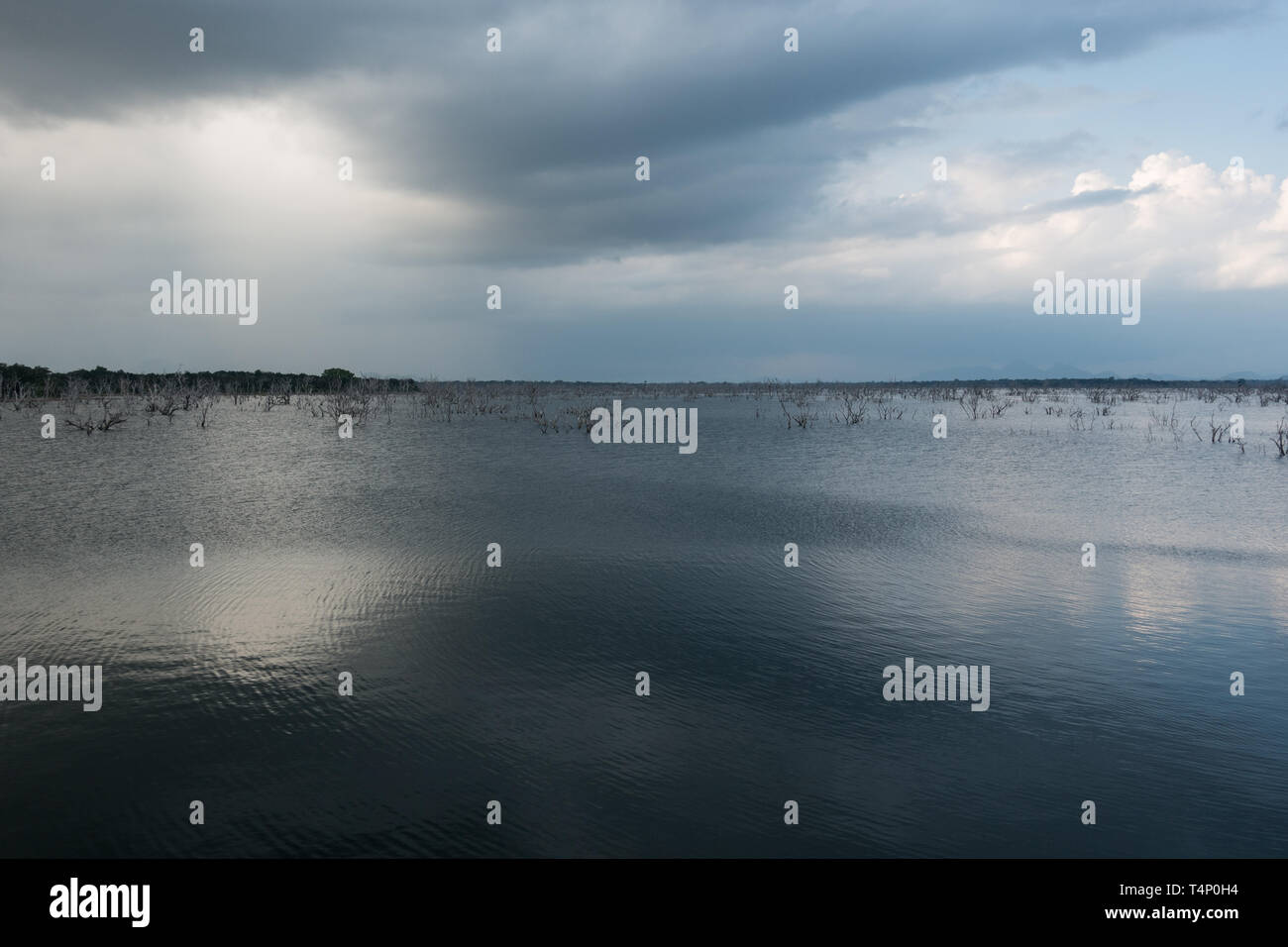 Weheragala Reservoir in Yala national park in Sri Lanka Stock Photo - Alamy