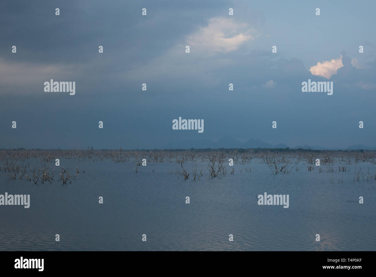 Weheragala reservoir hi-res stock photography and images - Alamy