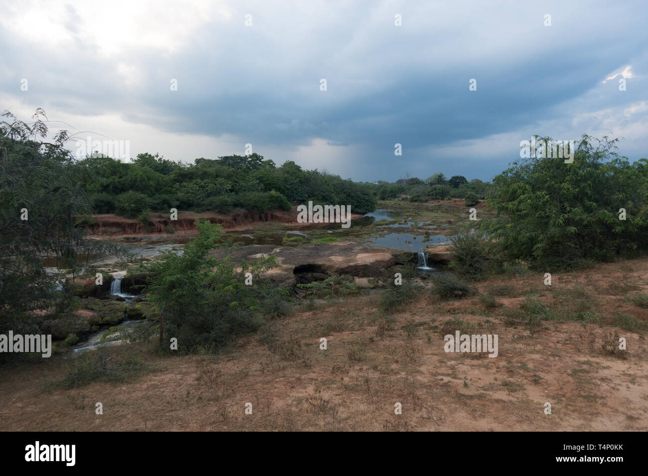 River habitat hi-res stock photography and images - Alamy