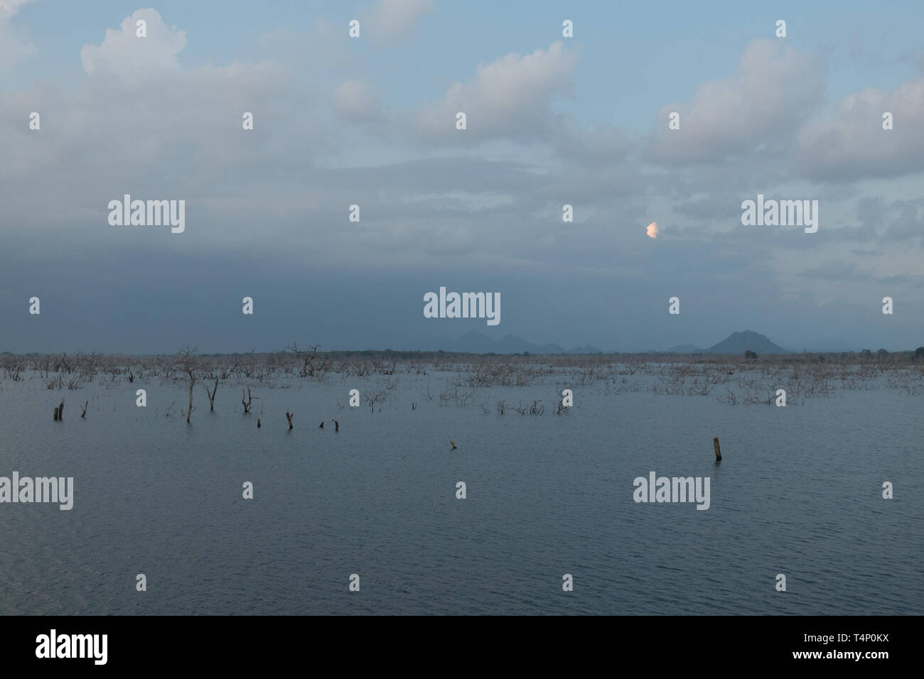 Expanse of water sri lanka hi-res stock photography and images - Alamy