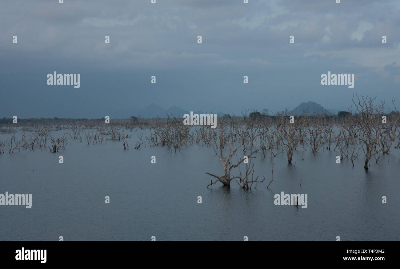 Weheragala Reservoir in Yala national park in Sri Lanka Stock Photo - Alamy
