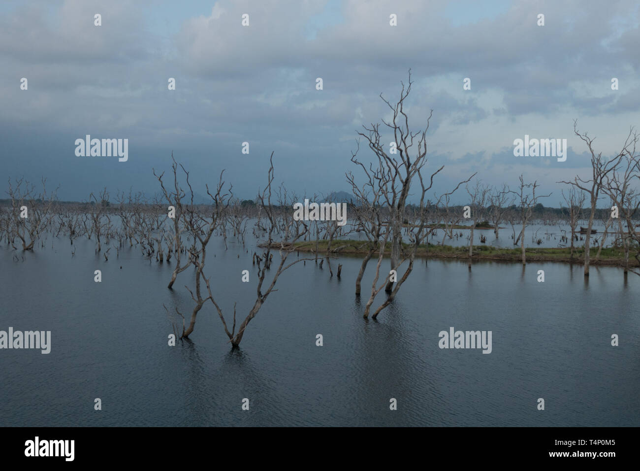 Weheragala Reservoir in Yala national park in Sri Lanka Stock Photo - Alamy