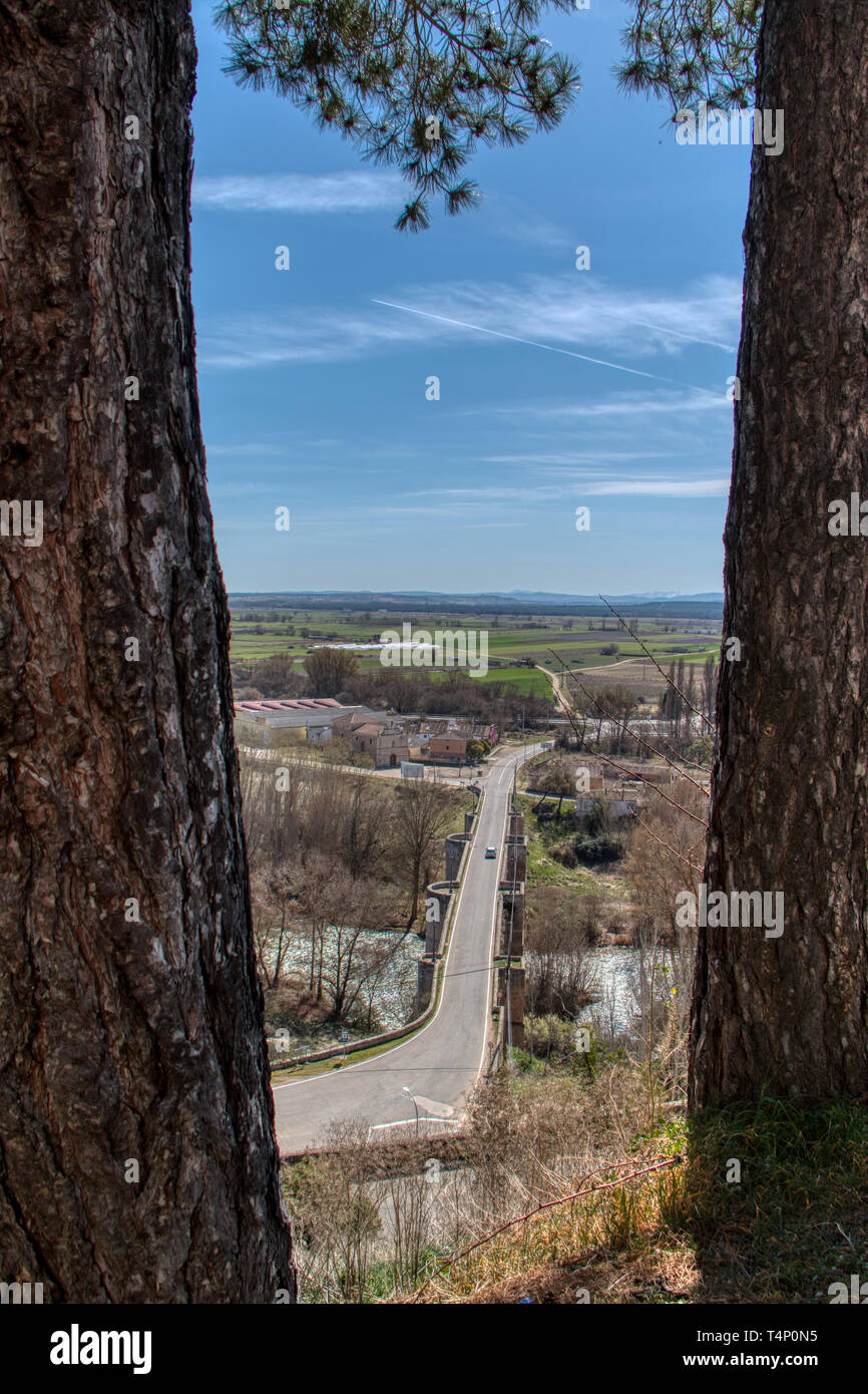 View between two trees hi-res stock photography and images - Alamy