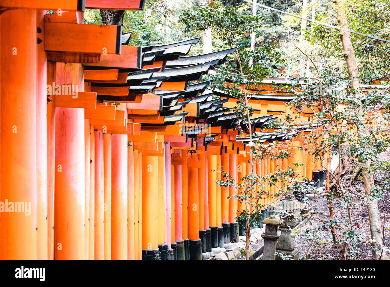 Orange gates and objects at Fushimi Inari-Taisha Shrine in Kyoto, Japan ...