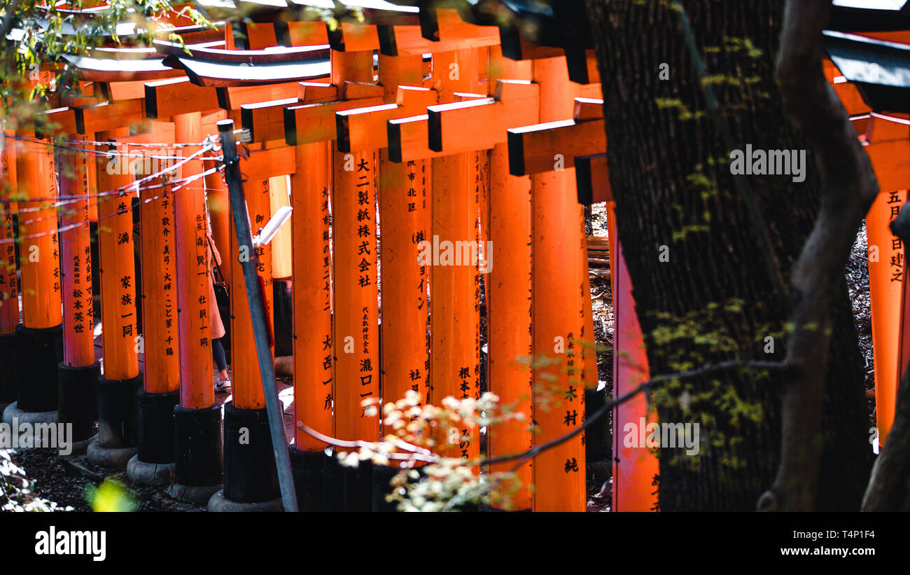 Orange gates and objects at Fushimi Inari-Taisha Shrine in Kyoto, Japan ...
