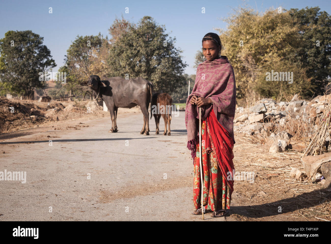 Portait of an indian girl, Gogunda, Rajasthan, India Stock Photo - Alamy
