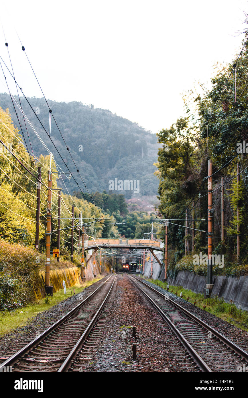 Train Tracks at Bamboo forest at Arashiyama in Kyoto, Japan Stock Photo ...