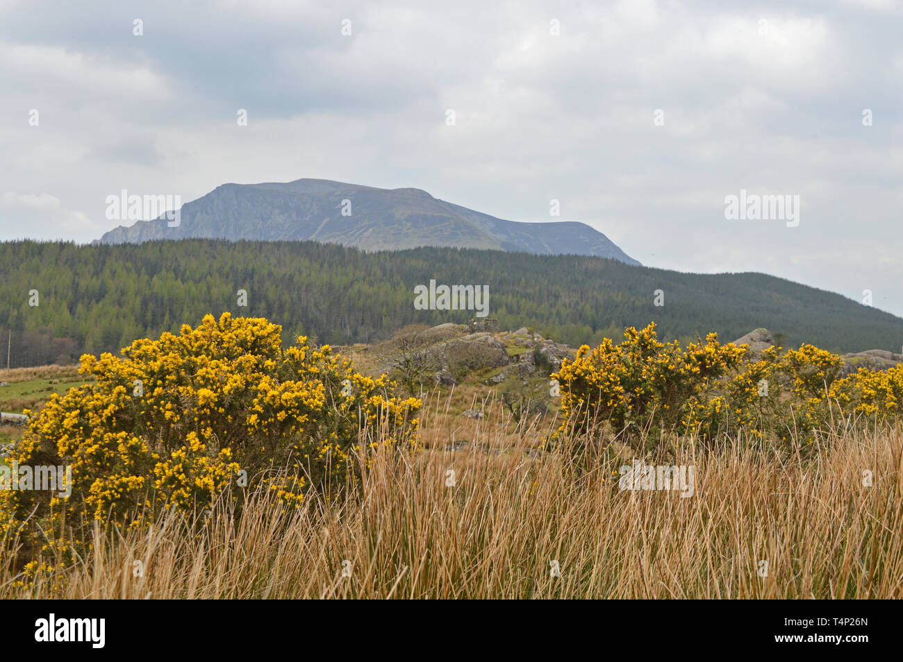 Views of Mynydd Mawr on Rhyd Ddu path to Snowdon summit Stock Photo - Alamy