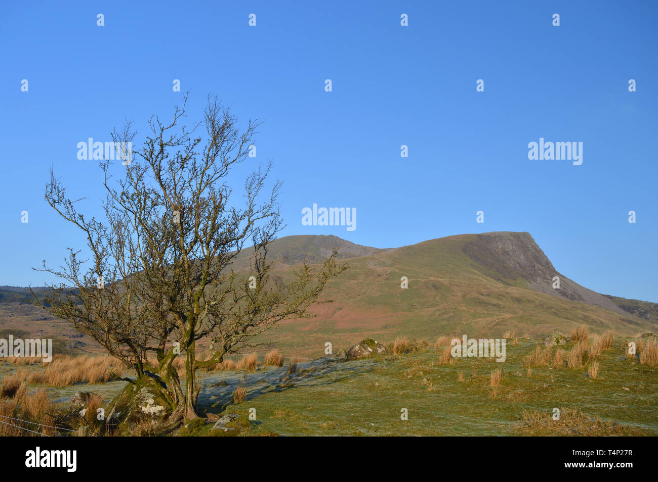 Nantlle Ridge Y Garn from Llyn Y Gader walk Stock Photo - Alamy