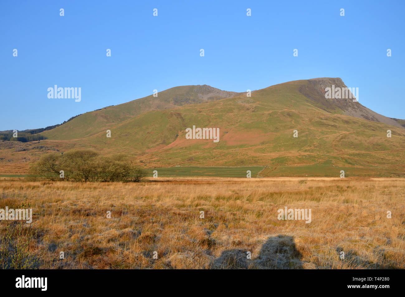 Nantlle Ridge Y Garn from Llyn Y Gader walk Stock Photo - Alamy