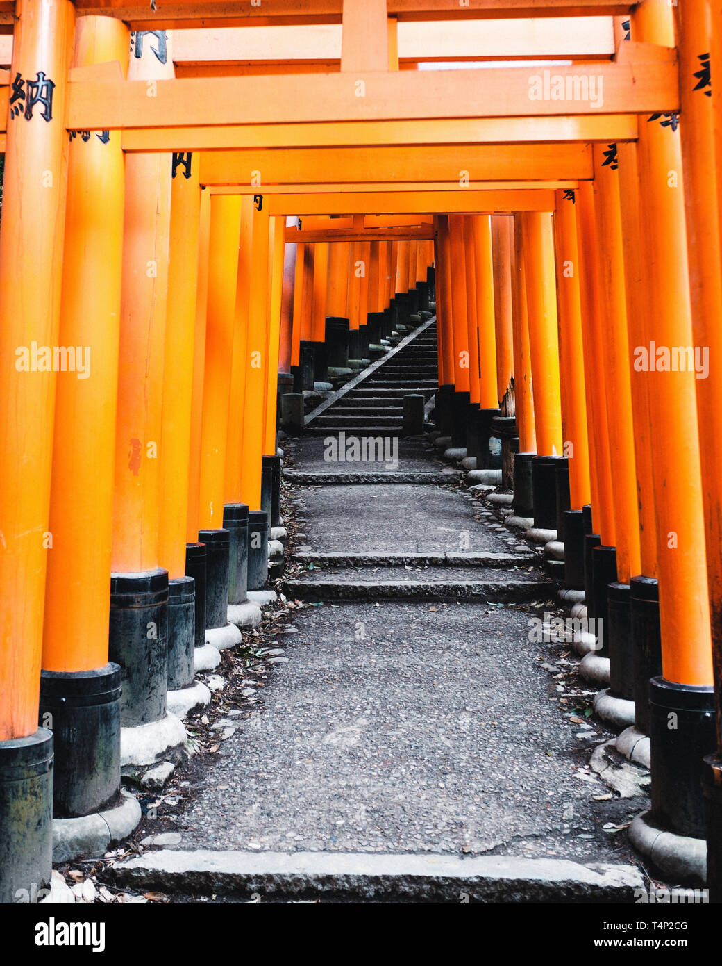 Wooden Gates High Resolution Stock Photography and Images - Alamy