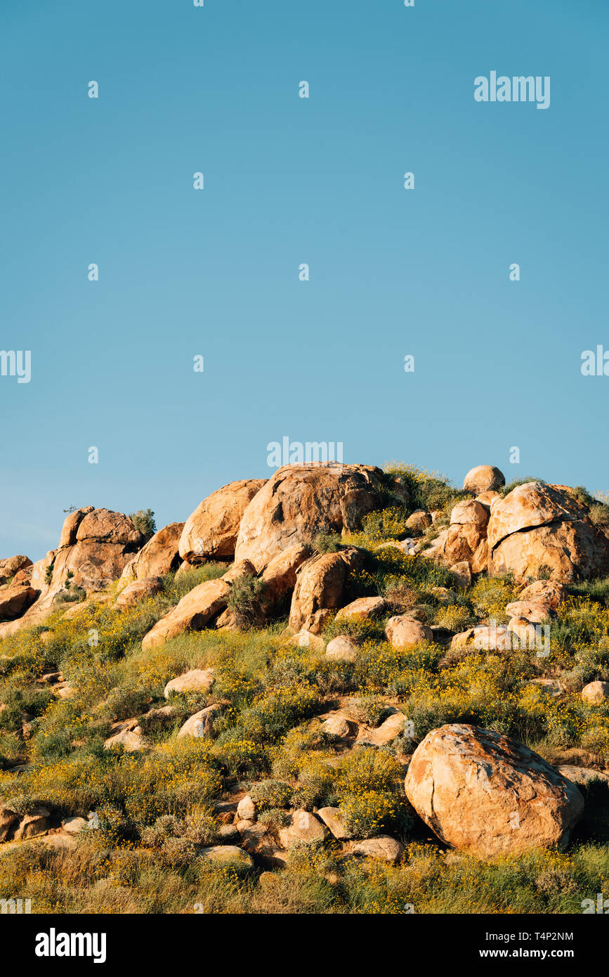 Riverside boulders hi-res stock photography and images - Alamy