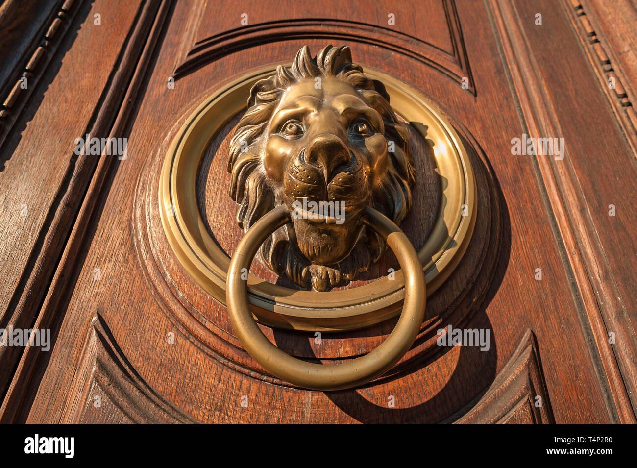 19th century vienna detail hi-res stock photography and images - Alamy