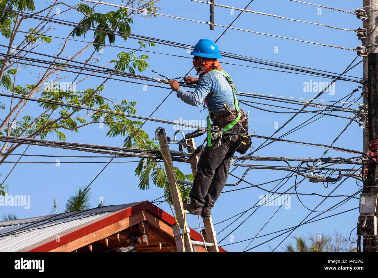 Fitter working on power line, Samara, Guanacaste Province, Costa Rica ...