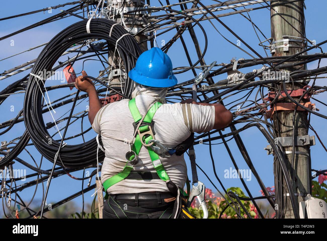 Fitter working on power line, Samara, Guanacaste Province, Costa Rica ...