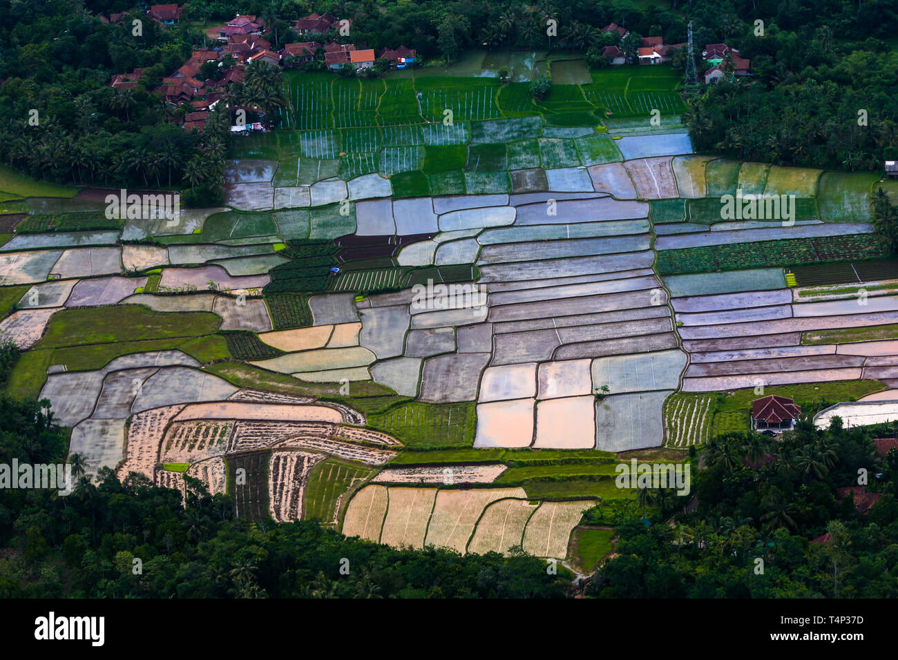 Map of rice farming hi-res stock photography and images - Alamy