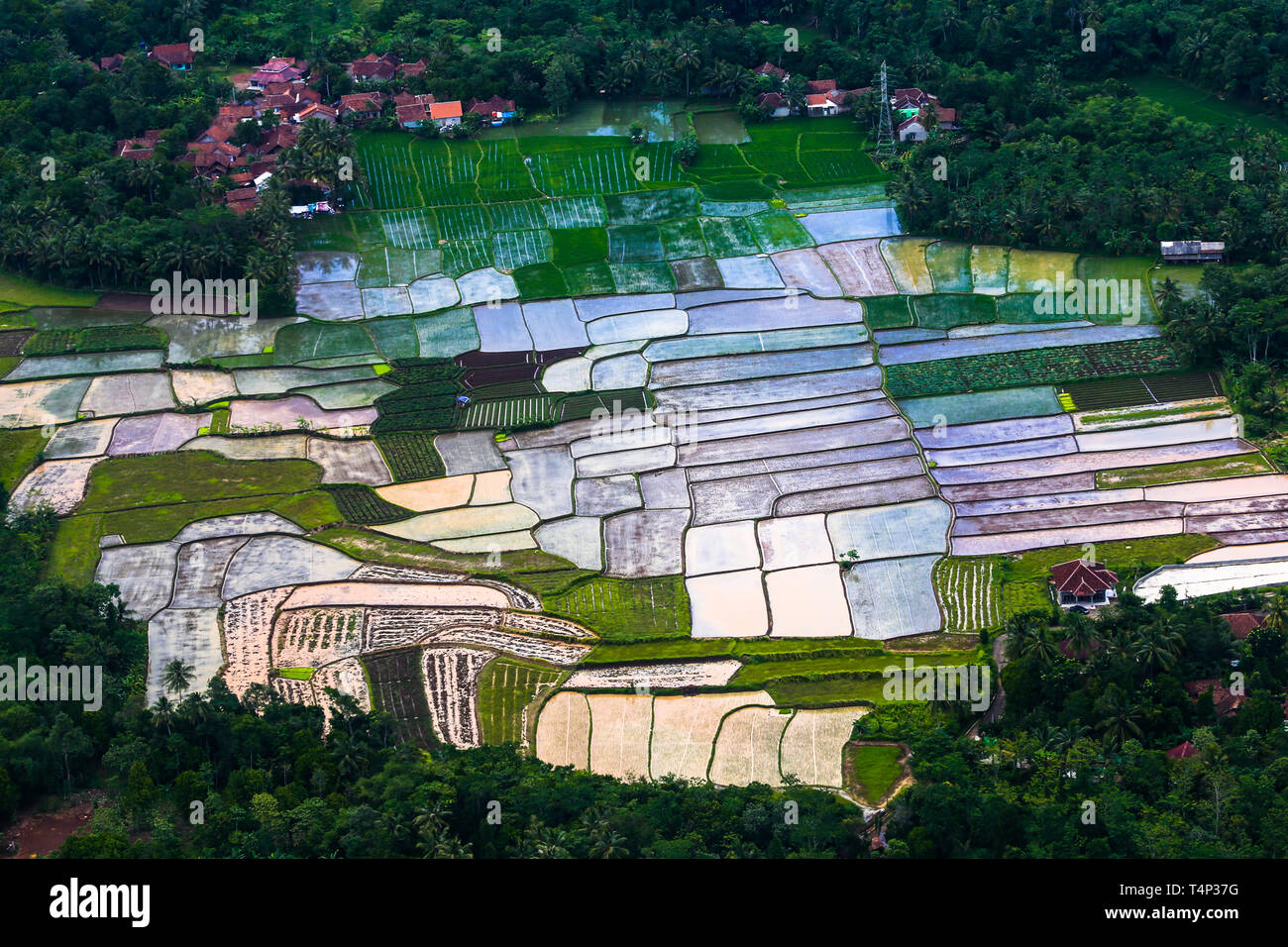 Map of rice farming hi-res stock photography and images - Alamy