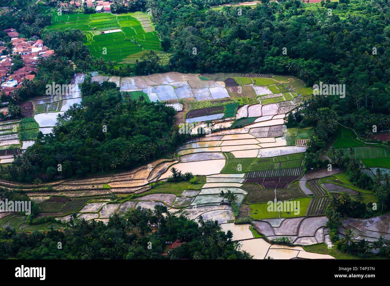 Beautiful rice fields from above Stock Photo - Alamy