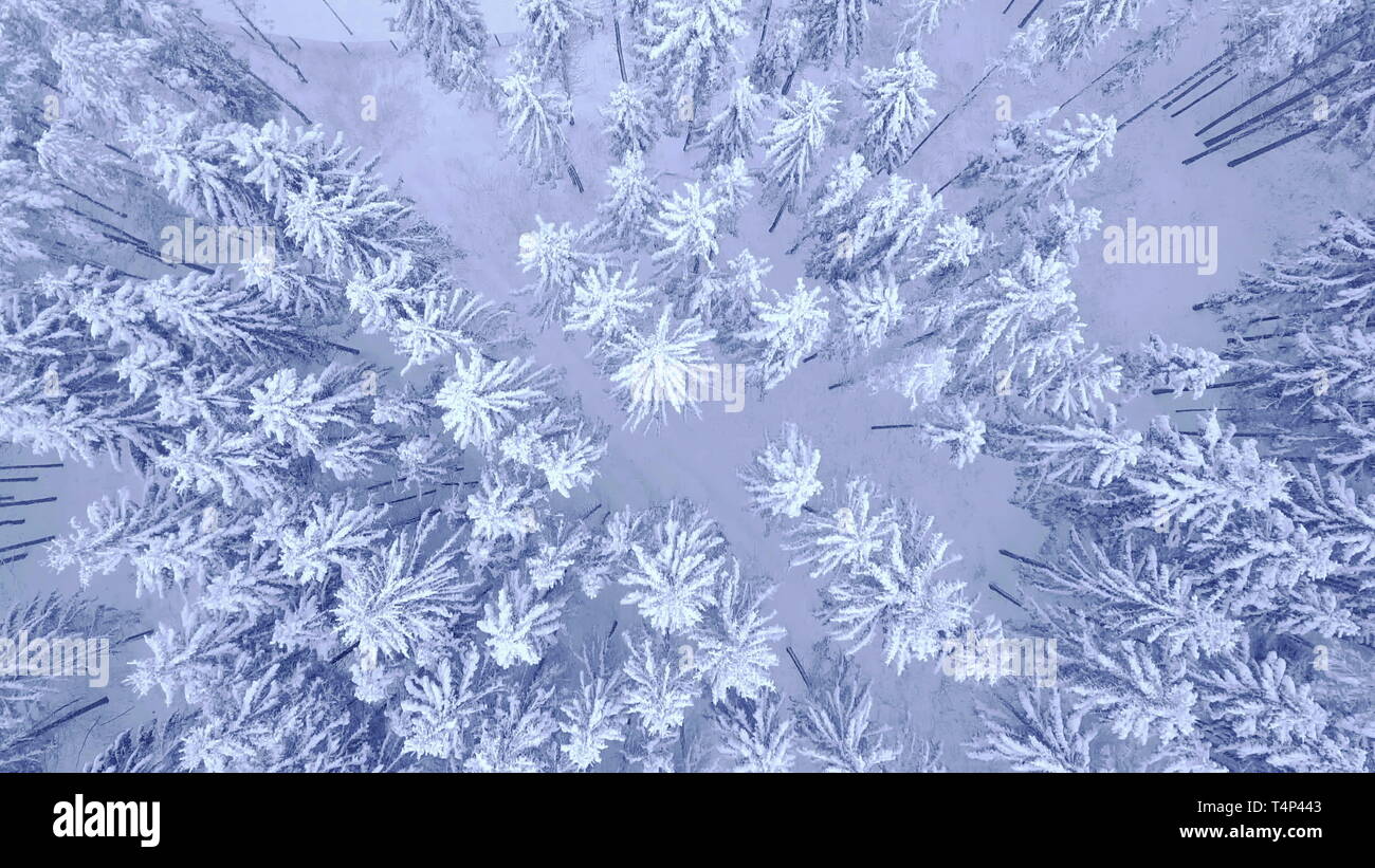 4k aerial flight over winter hi-res stock photography and images - Alamy