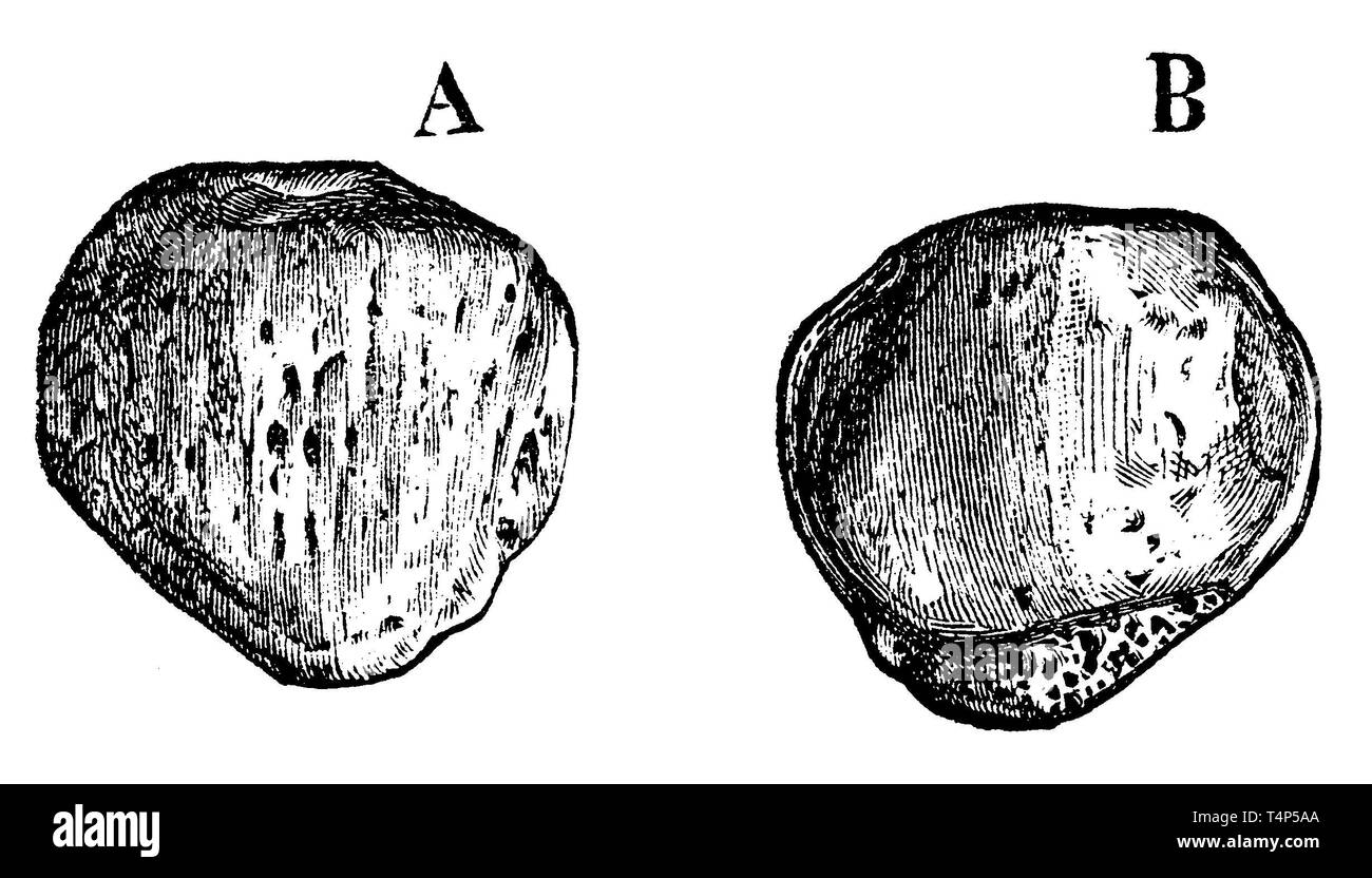 Left knee Black and White Stock Photos & Images - Alamy