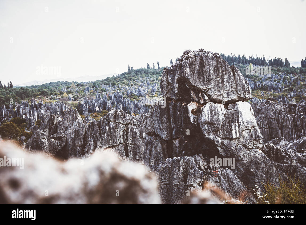 Stone forest formation in Yunnan province, China Stock Photo - Alamy