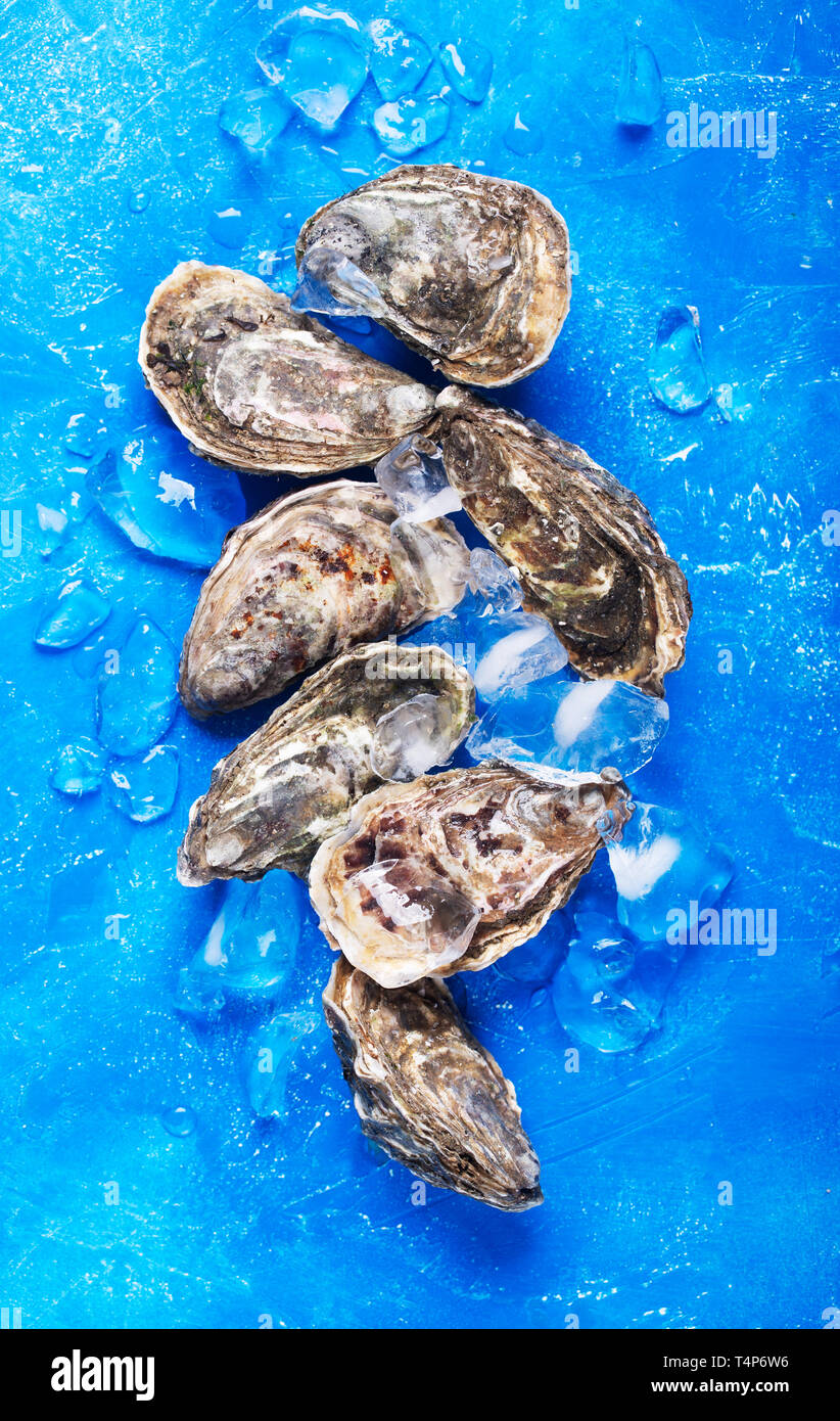 Mollusks body hi-res stock photography and images - Alamy