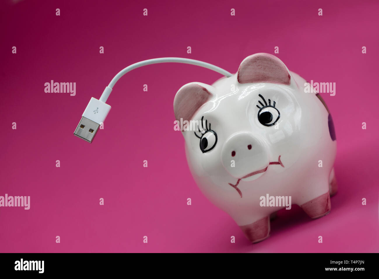 Porcelaine pig hi-res stock photography and images - Alamy