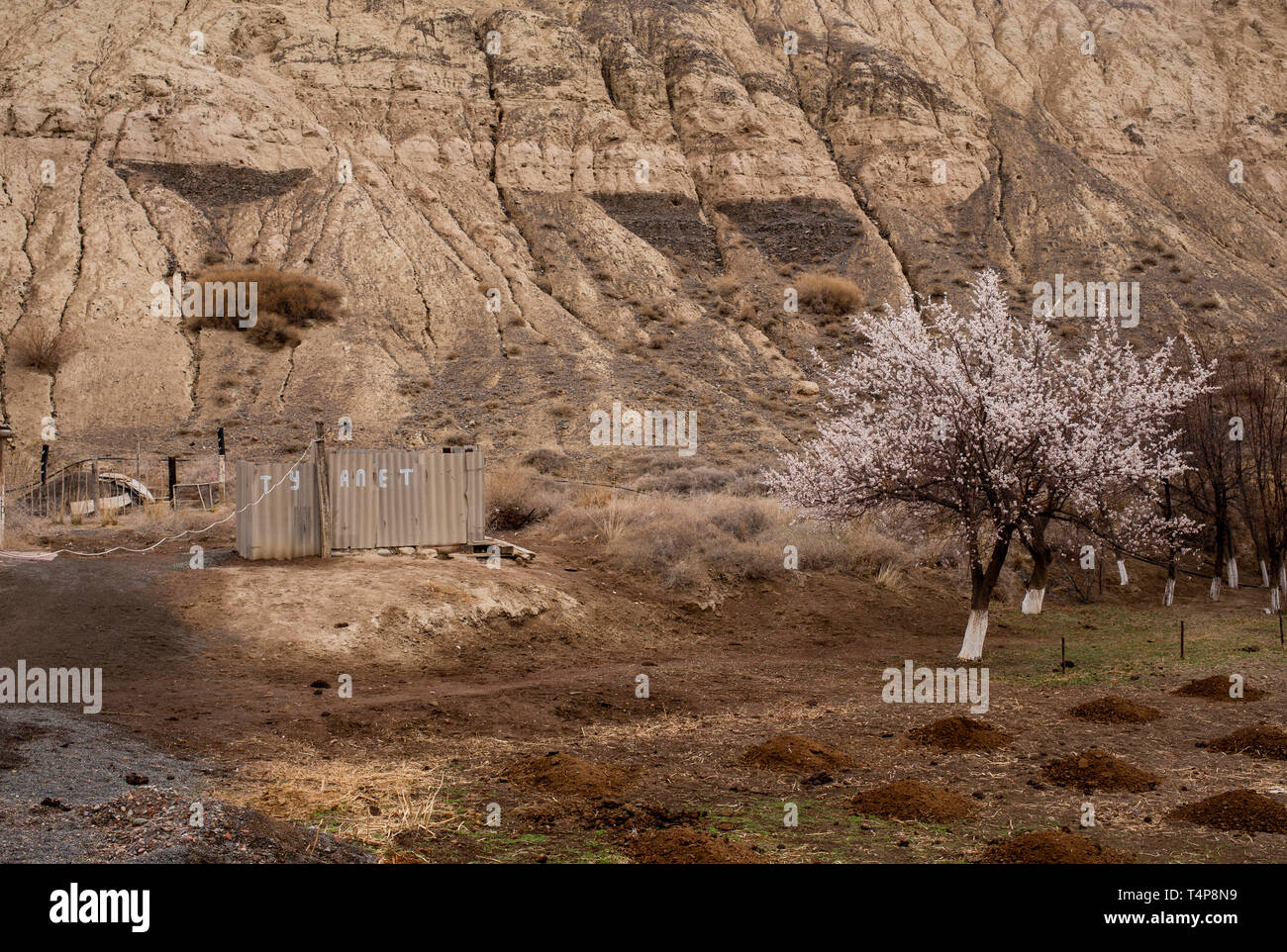 Stop for Toilet in Old Silk Road Stock Photo - Alamy