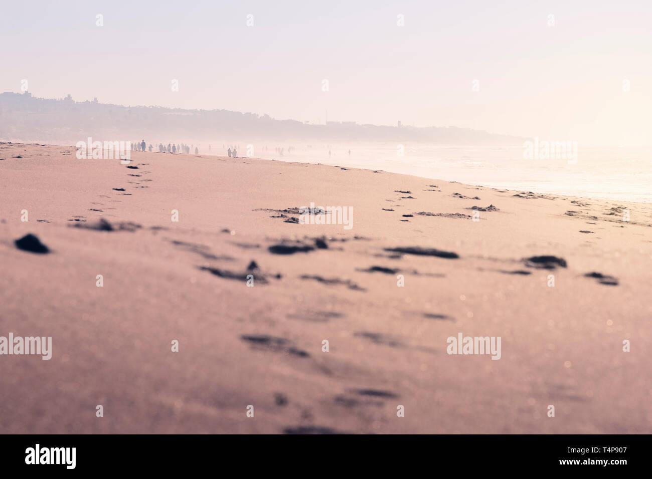 traces of people walking in the sand of the beach, the landscape is ...