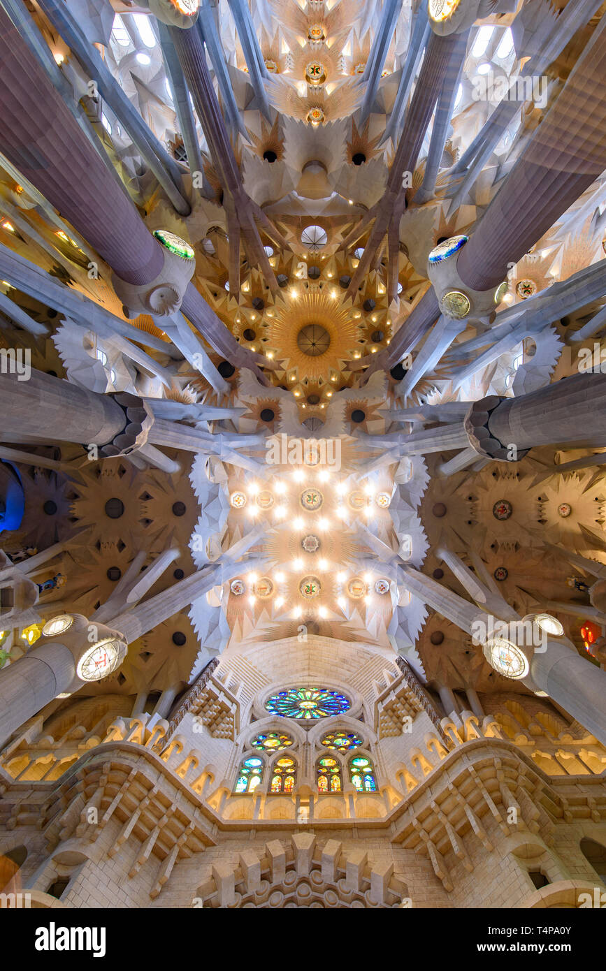 The ceiling of interior of Sagrada Familia (Church of the Holy Family ...