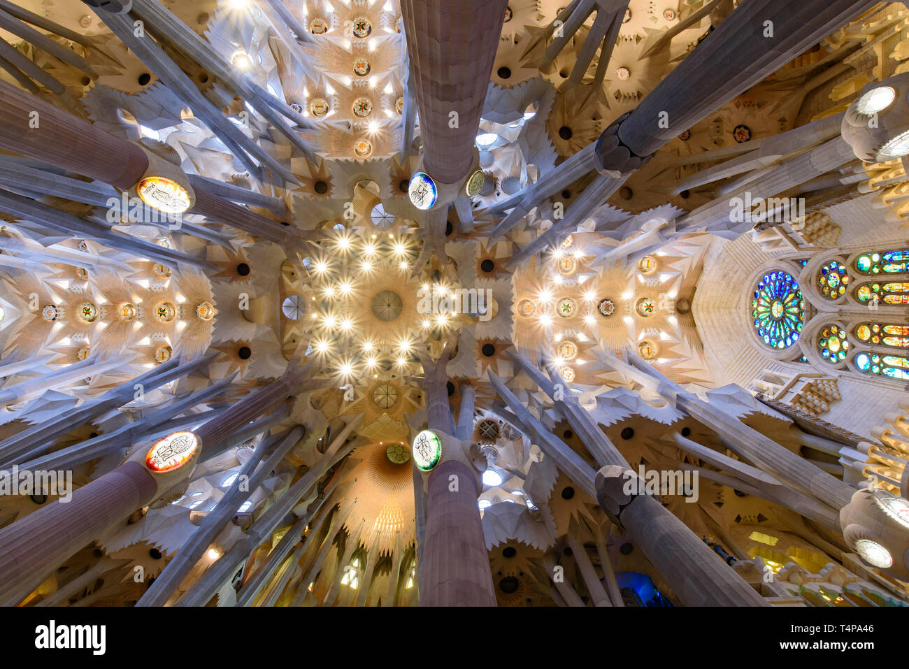 The ceiling of interior of Sagrada Familia (Church of the Holy Family ...