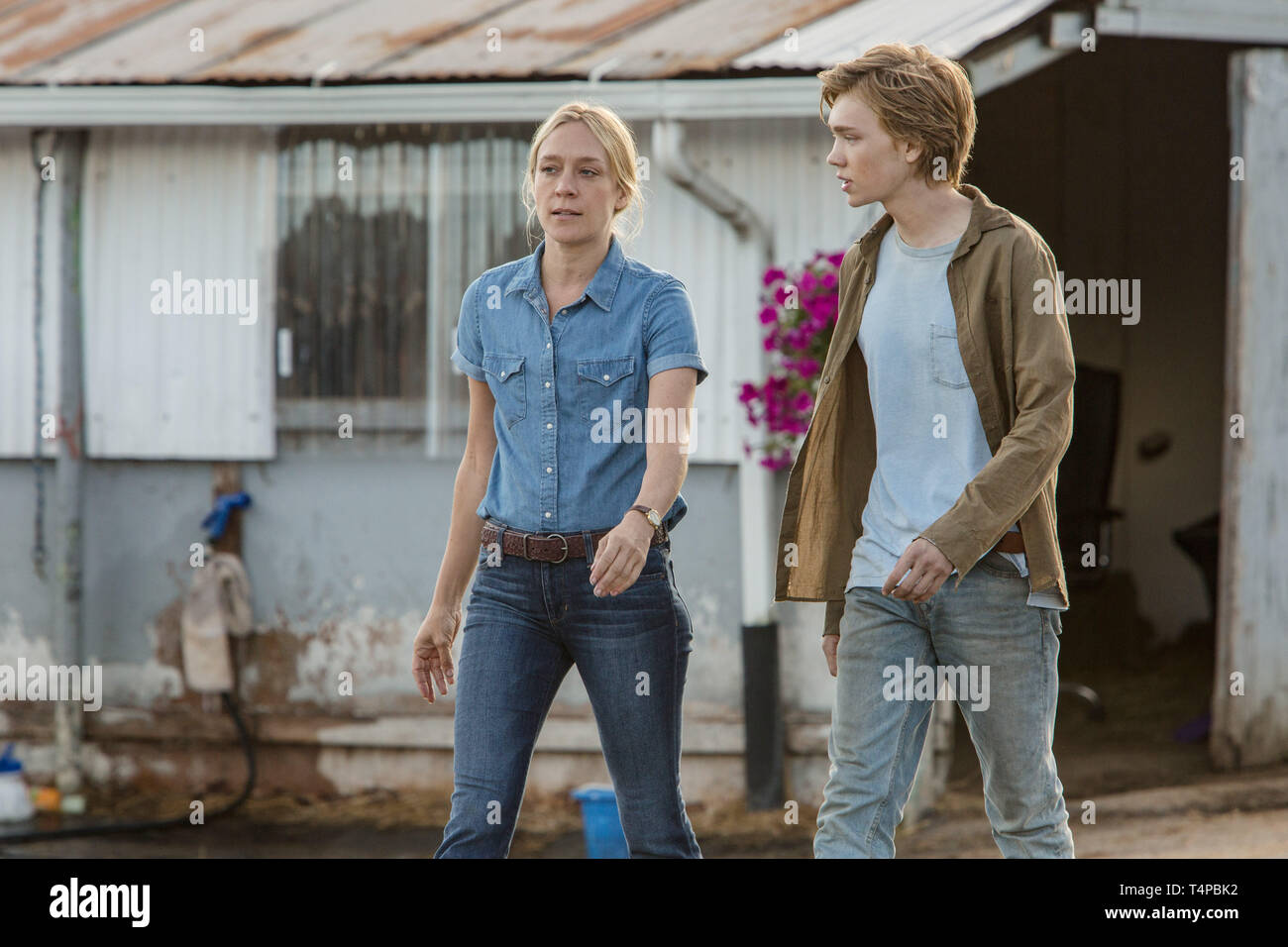 USA. Charlie Plummer and Chloe Sevigny in the ©A24 new film: The ...