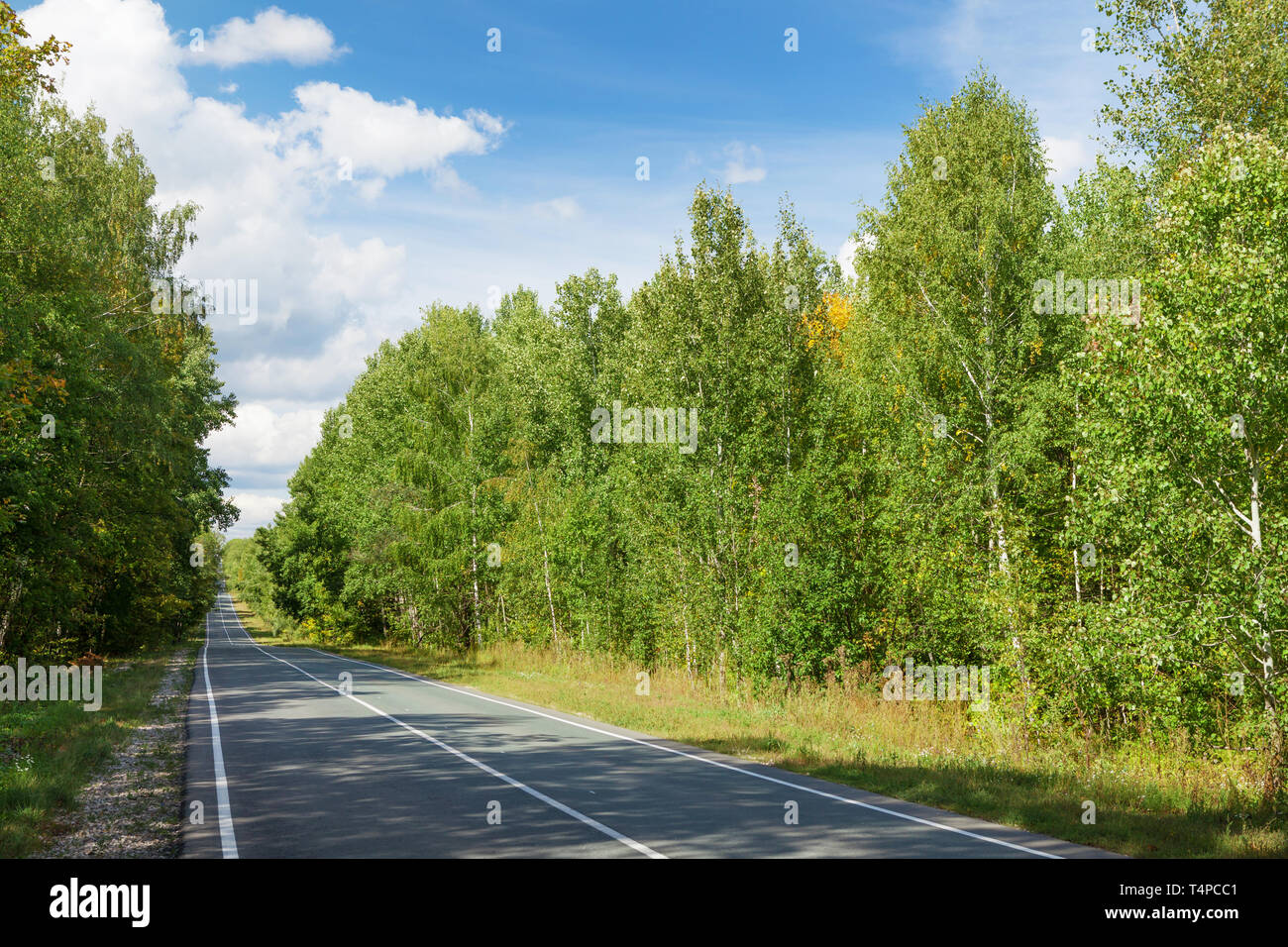 Asphalt road through the forest. Russia countryside landscape Stock ...
