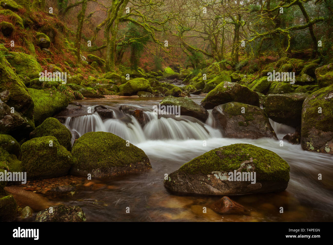 The dewerstone, dartmoor national park hi-res stock photography and ...