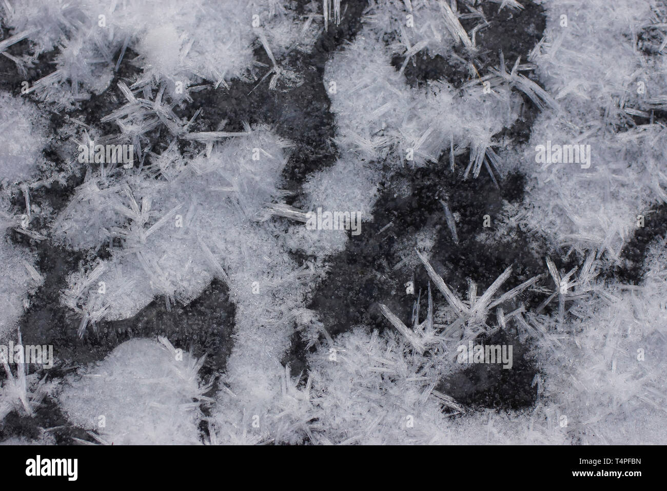 Frozenly hi-res stock photography and images - Alamy
