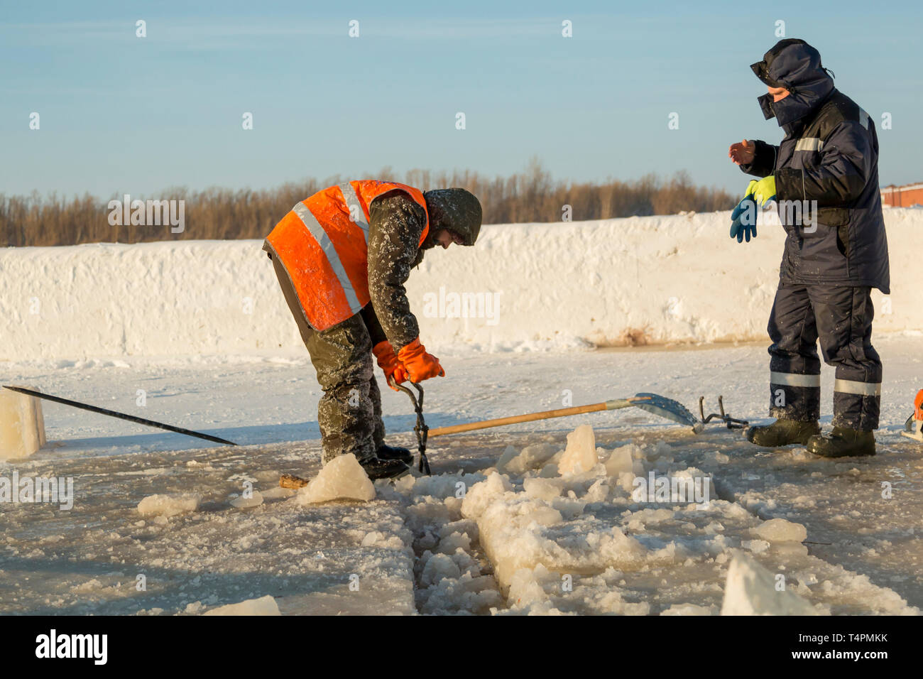 A worker pulls an ice block out of the hole with steel tongs Stock ...