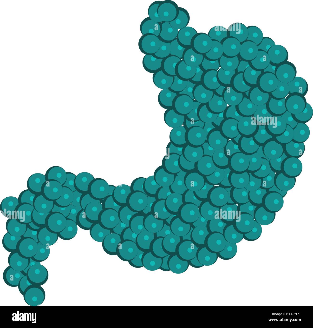 shape of Enzymes cells vector illustration Closeup view. Digestive ...