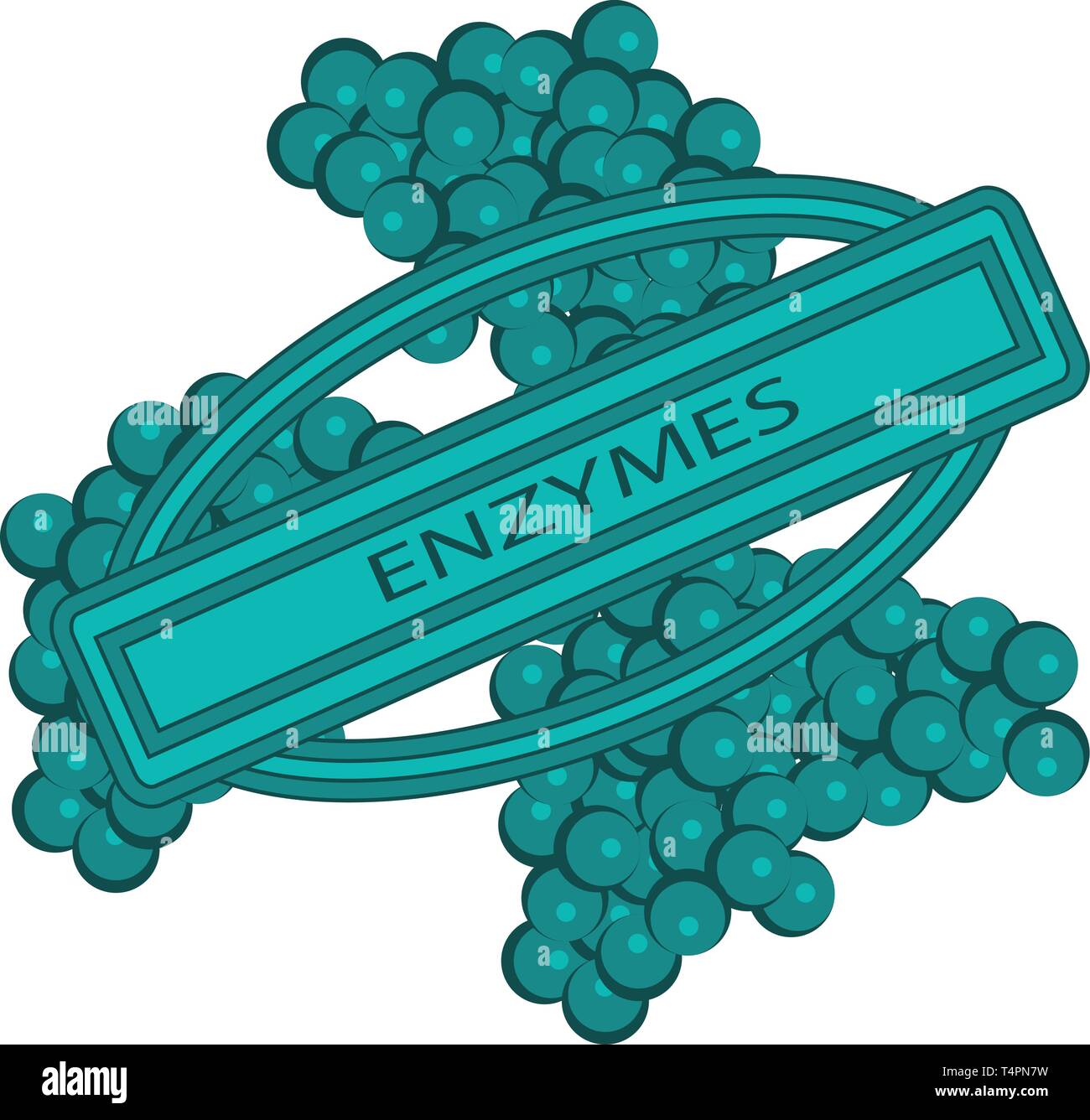 Enzymes cells vector illustration Closeup view. Metabolism booster ...