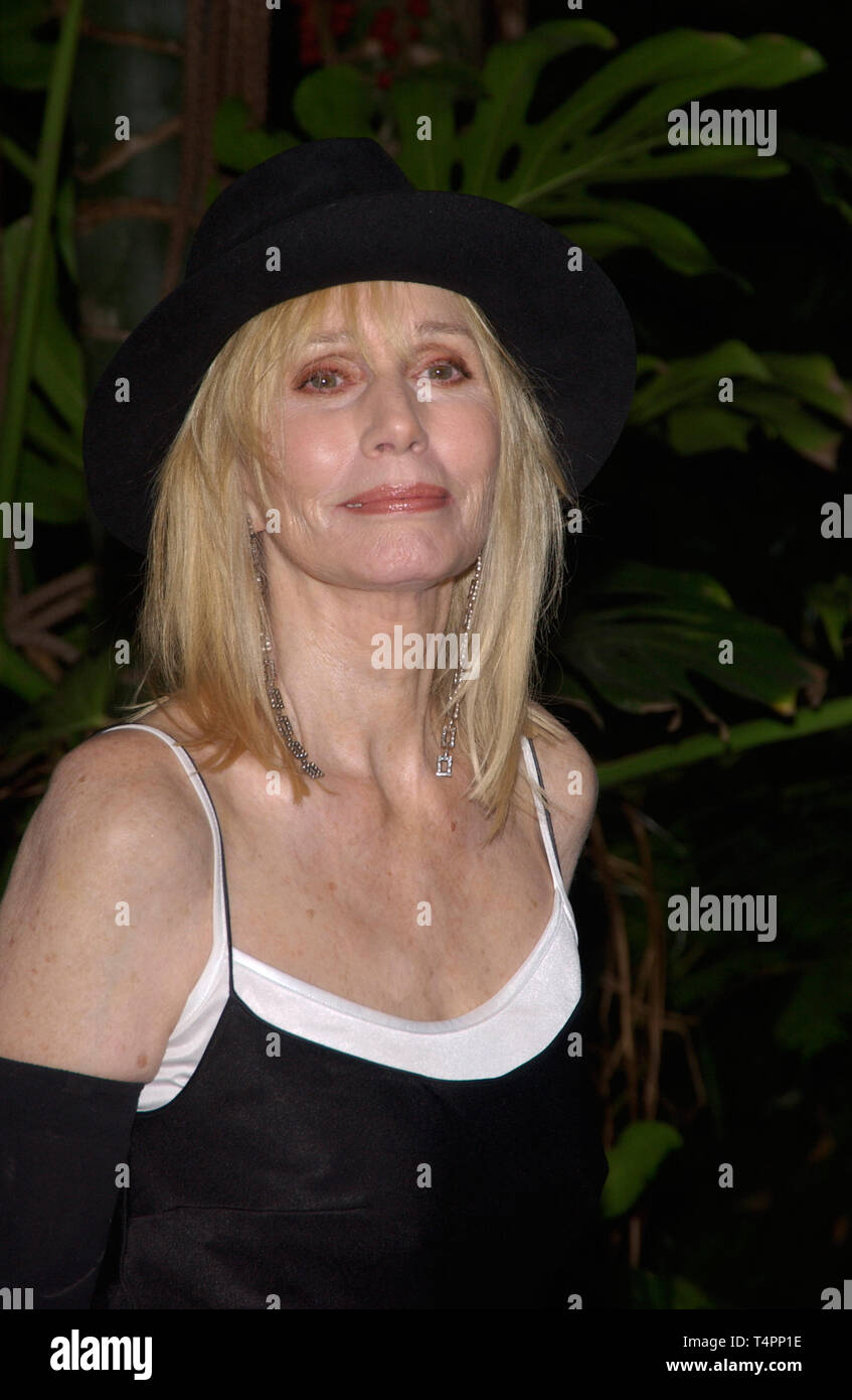 Sally Kellerman Actress High Resolution Stock Photography and Images ...