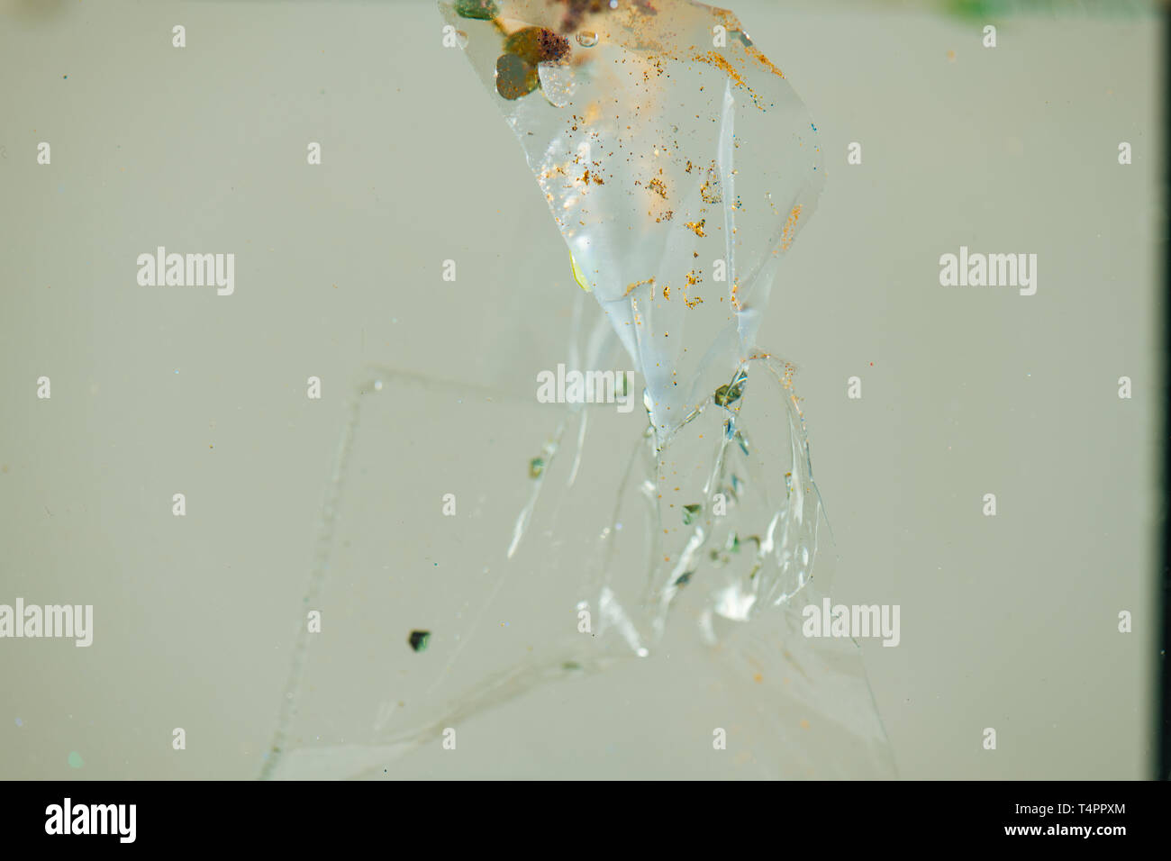 Surface covered. Plastic package placed in a water and presenting ...