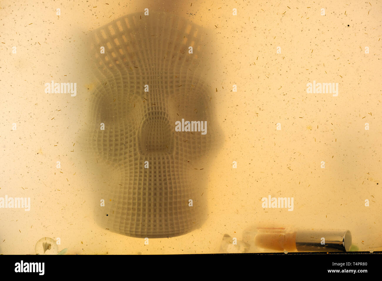 Muddy liquid. Plastic white skull placed into dirty orange water and ...