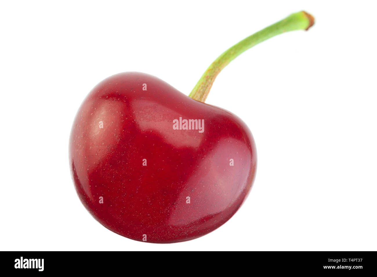 Cherry fruit closeup isolated on white background Stock Photo - Alamy
